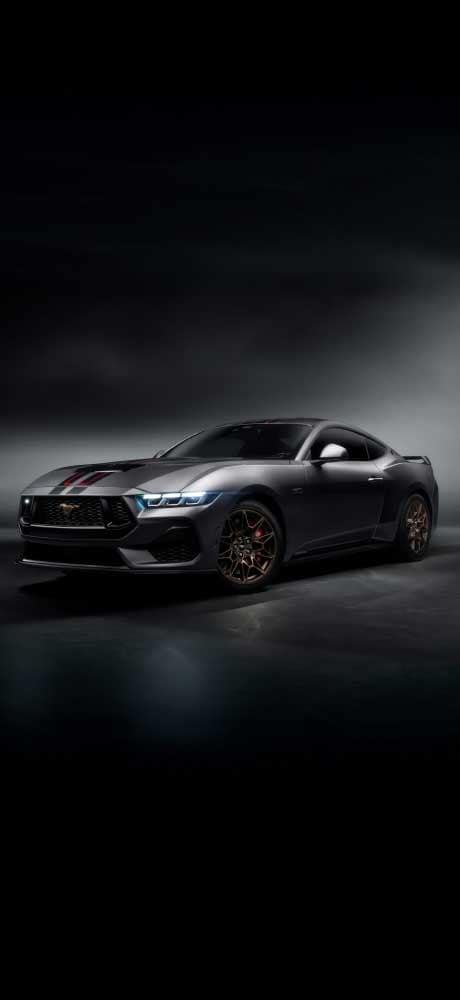 Homepage Mustang MT